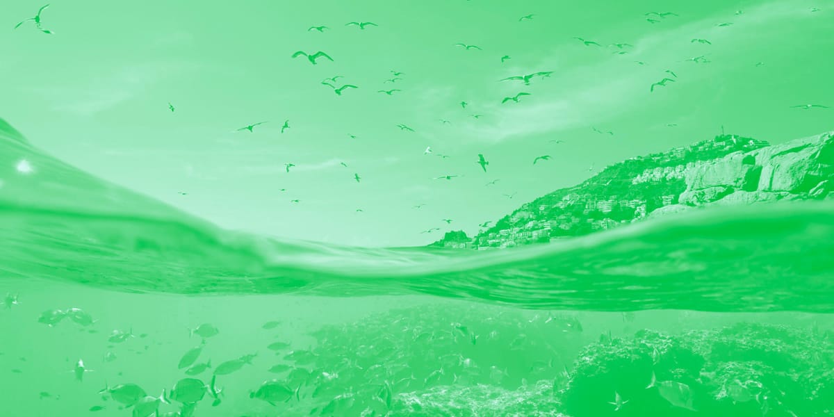 Surmountable Environmental Issues - Surmountable