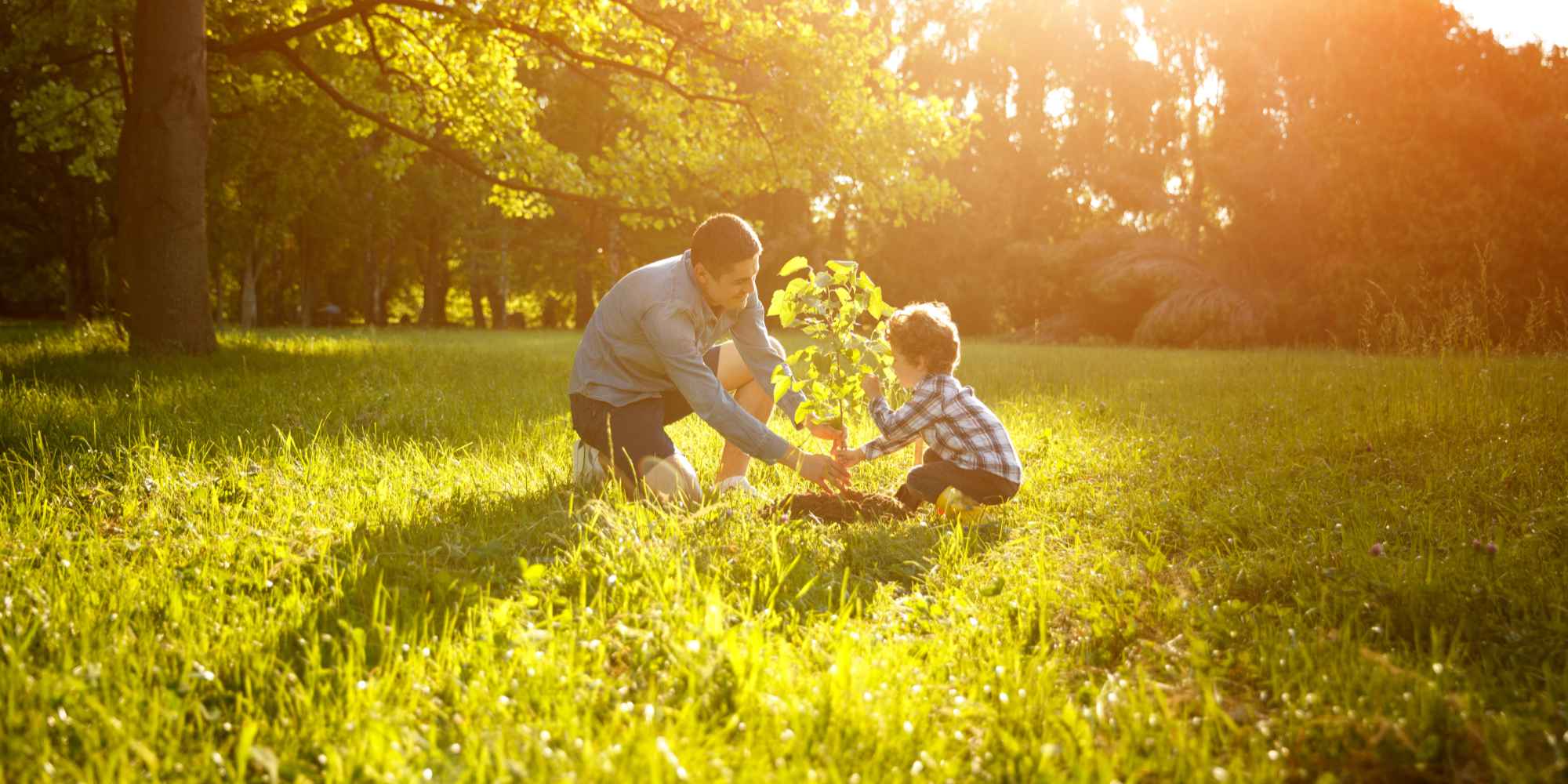 Surmountable newsletter issues and challenges to overcome